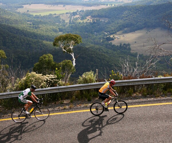 Bright Bike Hire, Victoria | Bike Hire and Repair | CyclePath